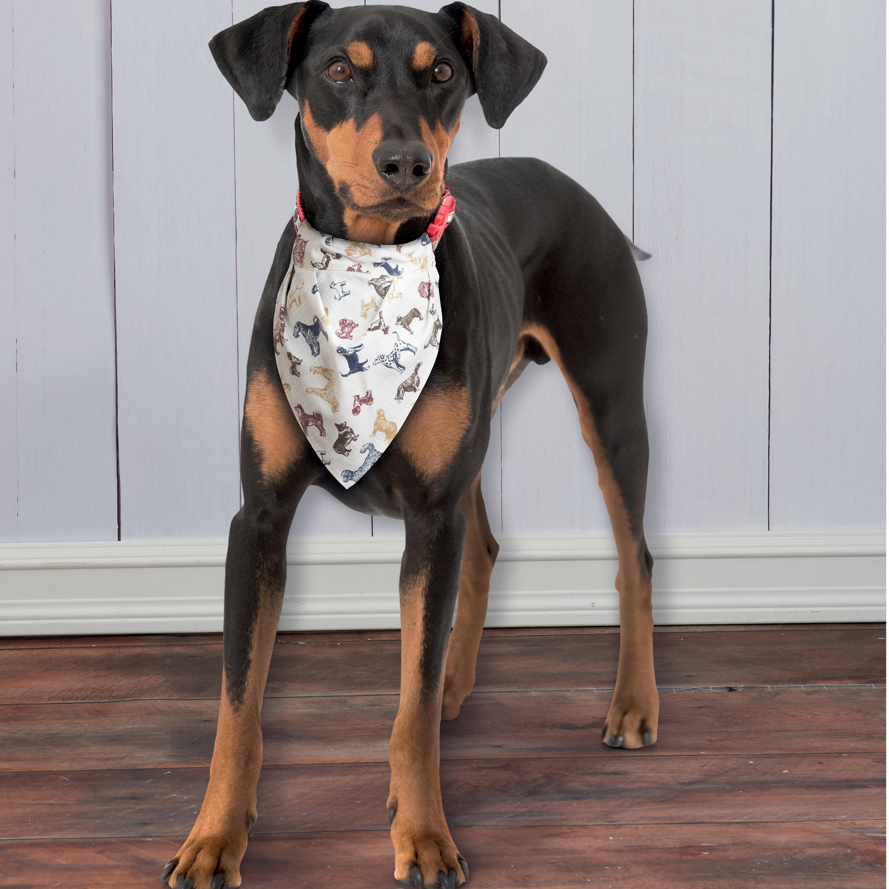 Simplicity Sewing Pattern S9446 - Pet Crate Covers in Three Sizes and ...